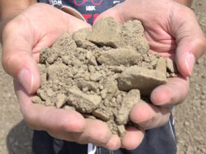 Bank Run – RED WING PROPERTIES