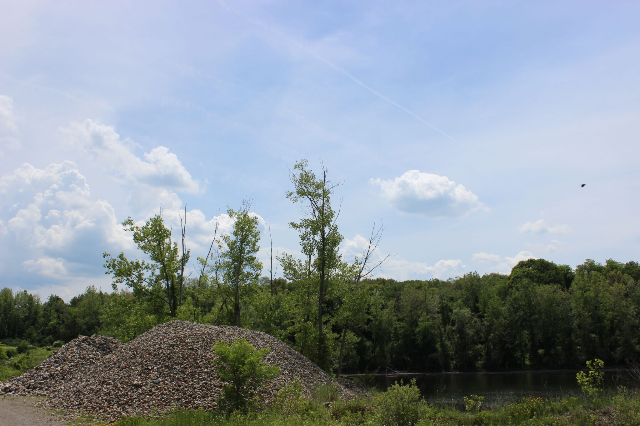 RED WING PROPERTIES – Red Wing Sand and Gravel
